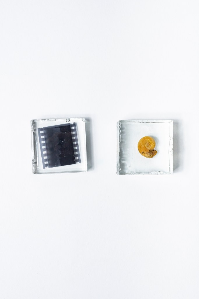 Encapsulation in resin (for film, paper) – tomohiro sato website